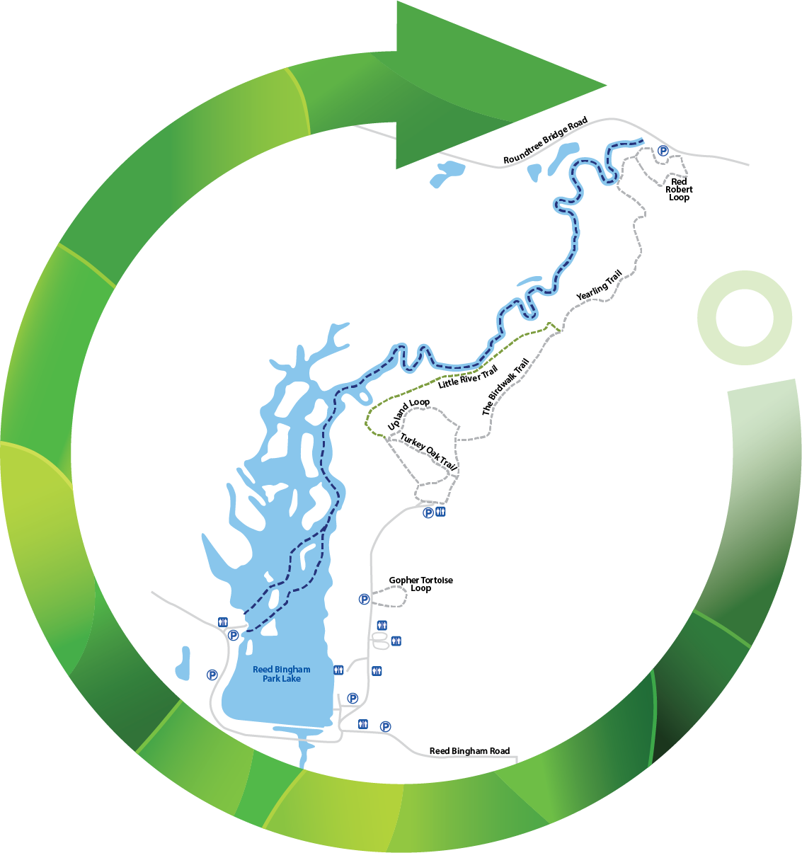 Little River Trail – Reed Bingham State Park